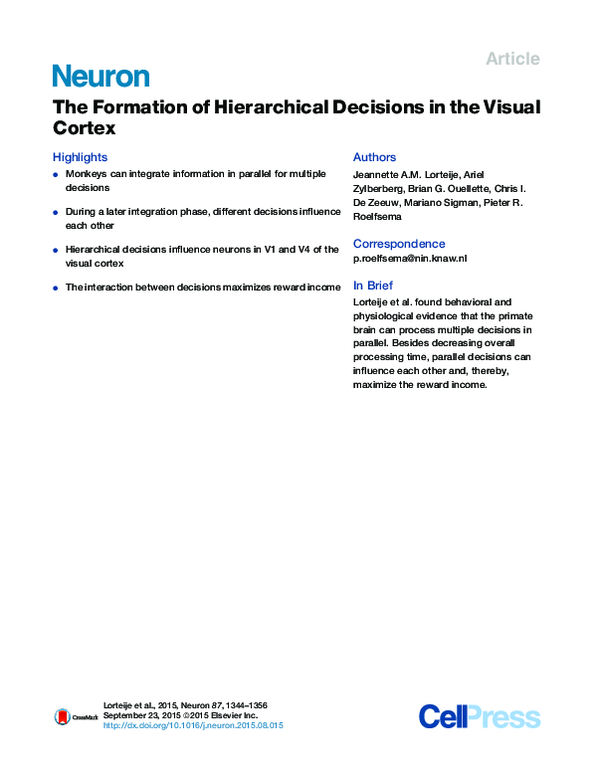 (PDF) The Formation of Hierarchical Decisions in the Visual Cortex