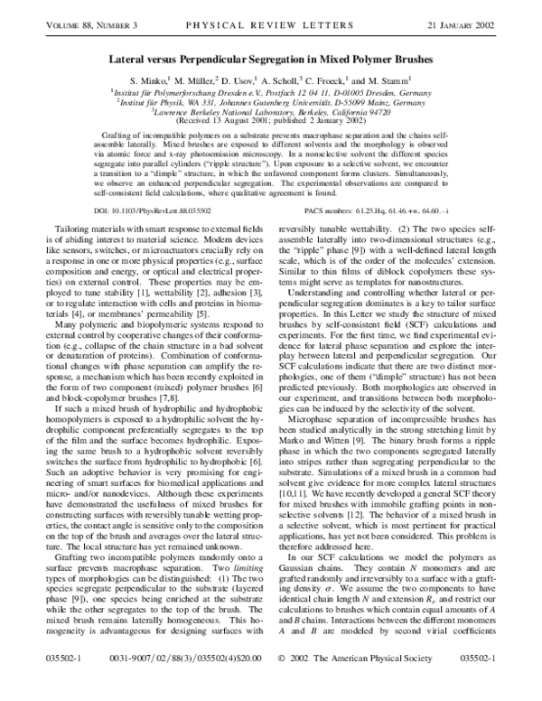 Lateral versus Perpendicular Segregation in Mixed Polymer Brushes