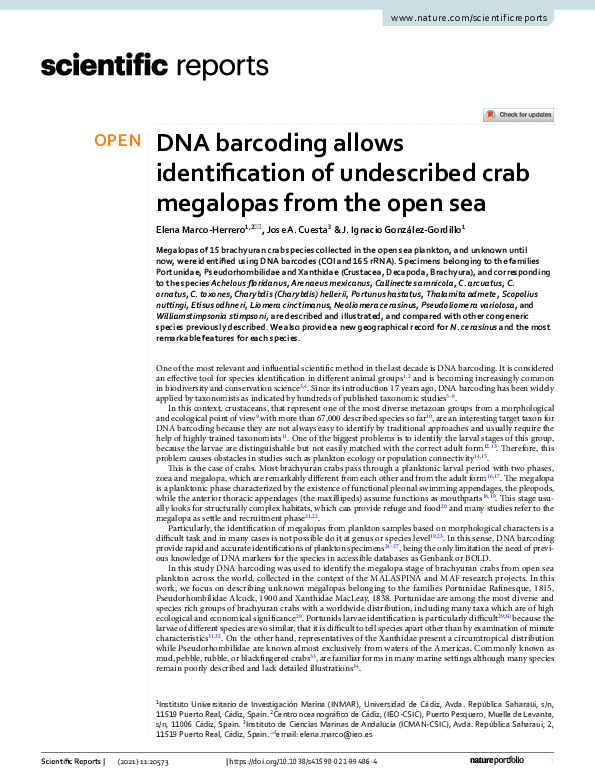 (PDF) DNA barcoding allows identification of undescribed crab megalopas from the open sea
