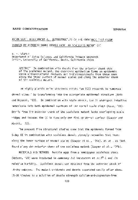 (PDF) Avian scale development. V. Ultrastructure of the chorionic ...