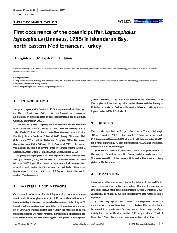(PDF) First occurrence of the oceanic puffer,Lagocephalus lagocephalus ...