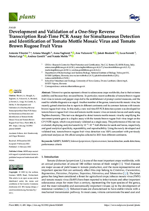 (PDF) Development and Validation of a One-Step Reverse Transcription Real-Time PCR Assay for ...