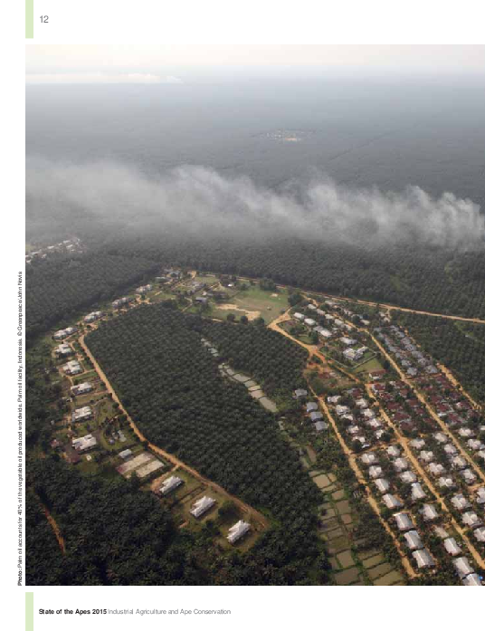 (PDF) Economic Development and Conservation of Biodiversity: Understanding the Interface of Ape ...