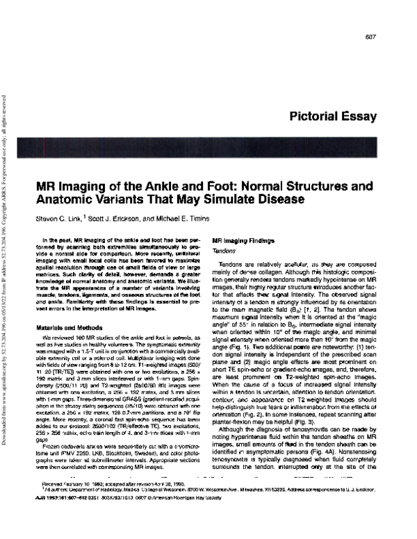 (PDF) MR imaging of the ankle and foot: normal structures and anatomic ...