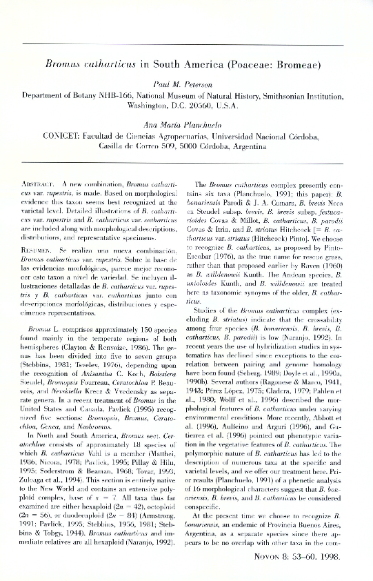 (PDF) Bromus catharticus in South America (Poaceae: Bromeae)