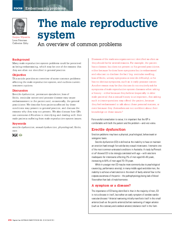 (PDF) The male reproductive system - An overview of common problems