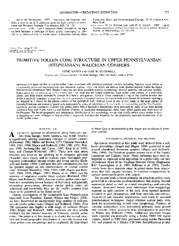 (PDF) Primitive pollen cone structure in Upper Pennsylvanian ...