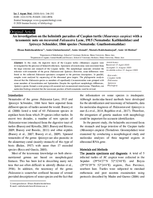 (PDF) An investigation on the helminth parasites of Caspian turtle ...