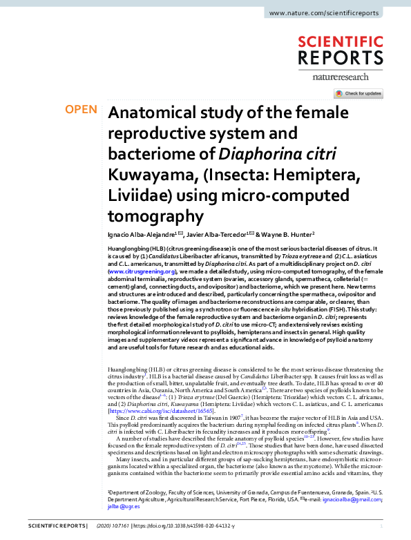 (PDF) Anatomical study of the female reproductive system and bacteriome ...