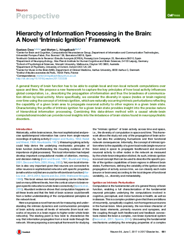 (PDF) Hierarchy of Information Processing in the Brain: A Novel ...