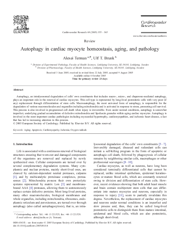 (PDF) Autophagy in cardiac myocyte homeostasis, aging, and pathology