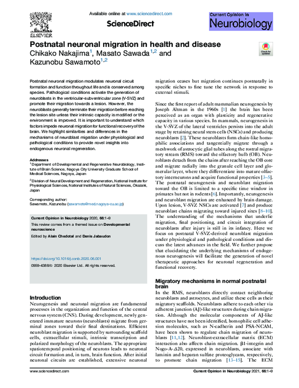 (PDF) Postnatal neuronal migration in health and disease