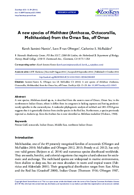 (PDF) A new species of Melithaea (Anthozoa, Octocorallia, Melithaeidae ...
