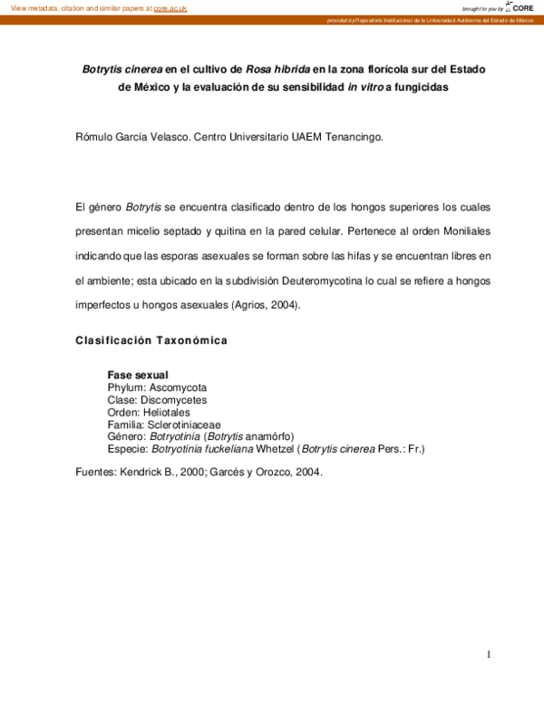 (PDF) Botrytis cinerea en el cultivo de Rosa hibrida en la zona ...