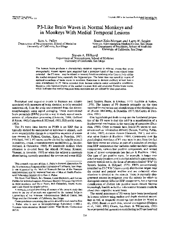 (PDF) P3-like brain waves in normal monkeys and in monkeys with medial ...