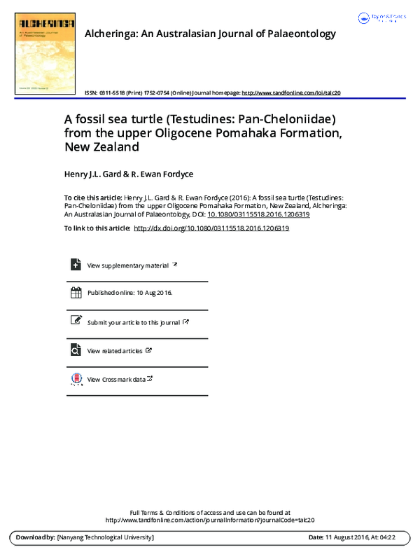 (PDF) A fossil sea turtle (Testudines: Pan-Cheloniidae) from the upper ...