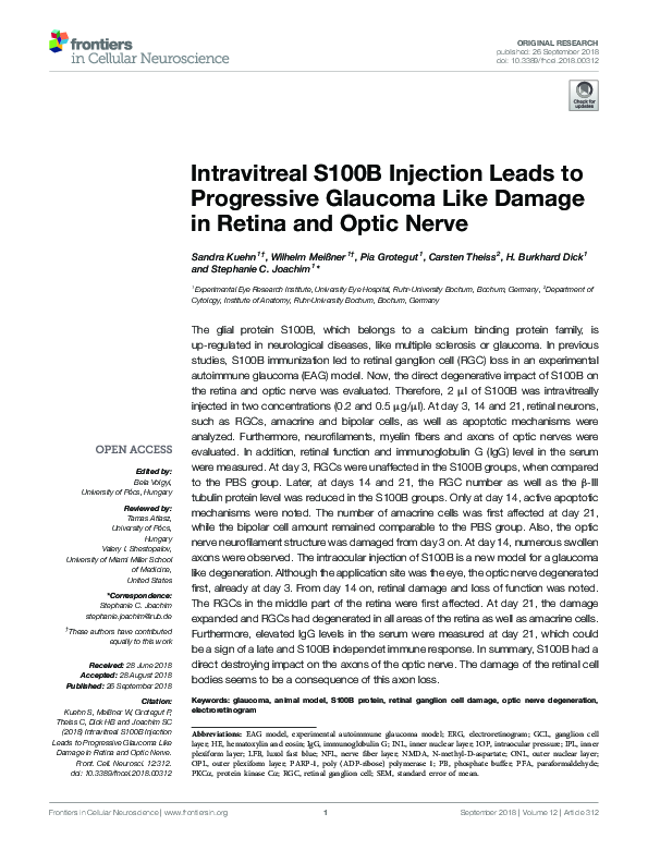 (PDF) Intravitreal S100B Injection Leads to Progressive Glaucoma Like ...