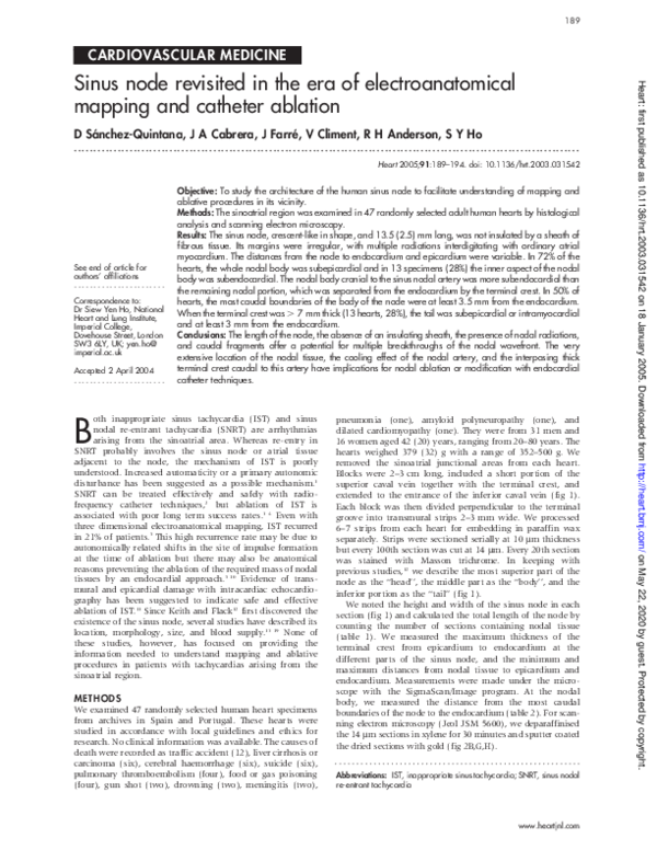 (PDF) Sinus node revisited in the era of electroanatomical mapping and ...