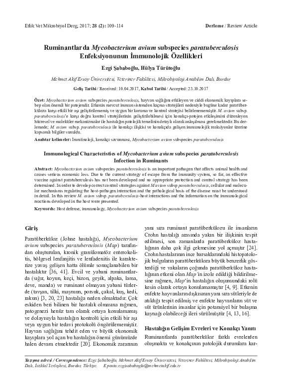 (PDF) Ruminantlarda Mycobacterium avium subspecies paratuberculosis ...