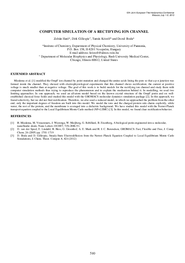 (PDF) Computer Simulation of a Rectifying Ion Channel