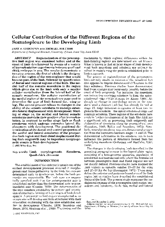 (PDF) Cellular contribution of the different regions of the ...