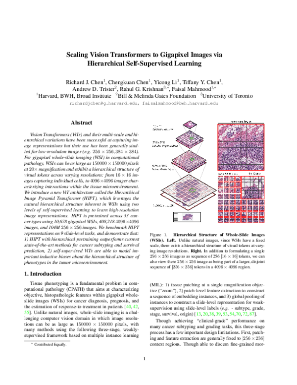 (PDF) Scaling Vision Transformers to Gigapixel Images via Hierarchical Self-Supervised Learning
