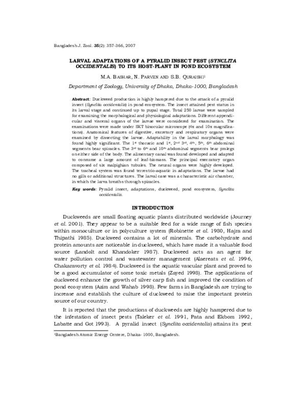 (PDF) LARVAL ADAPTATIONS OF A PYRALID INSECT PEST (SYNCLITA ...