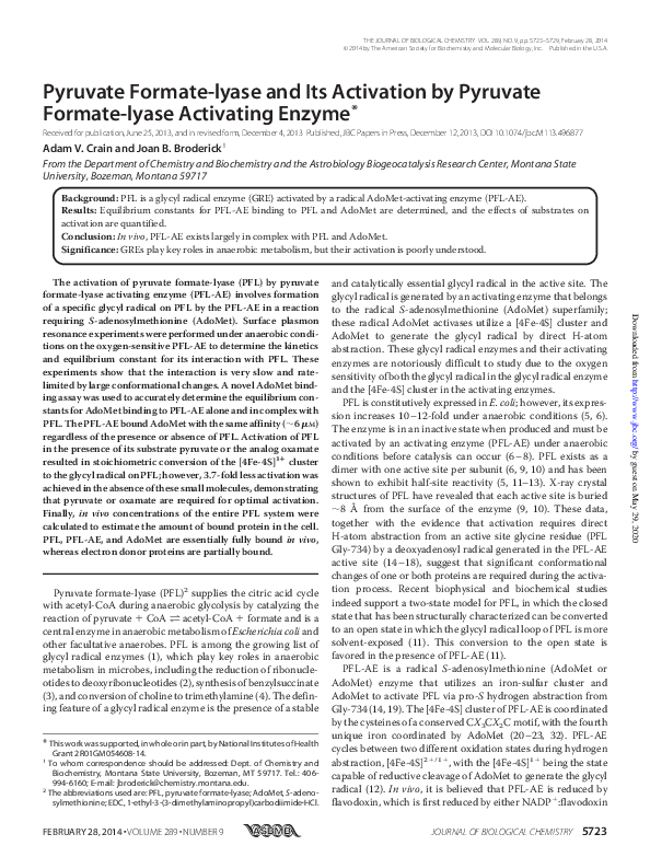 (PDF) Pyruvate Formate-lyase and Its Activation by Pyruvate Formate ...