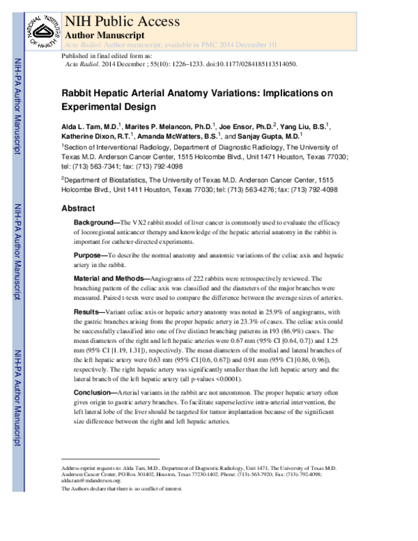 (PDF) Rabbit hepatic arterial anatomy variations: implications on ...
