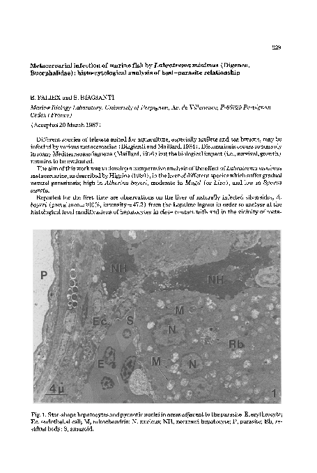 (PDF) Metacercarial infection of marine fish by Labratrema minimus ...