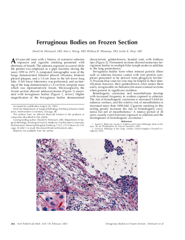 (PDF) Ferruginous bodies on frozen section