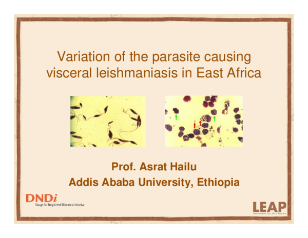 (PDF) Variation of the parasite causing visceral leishmaniasis in East ...