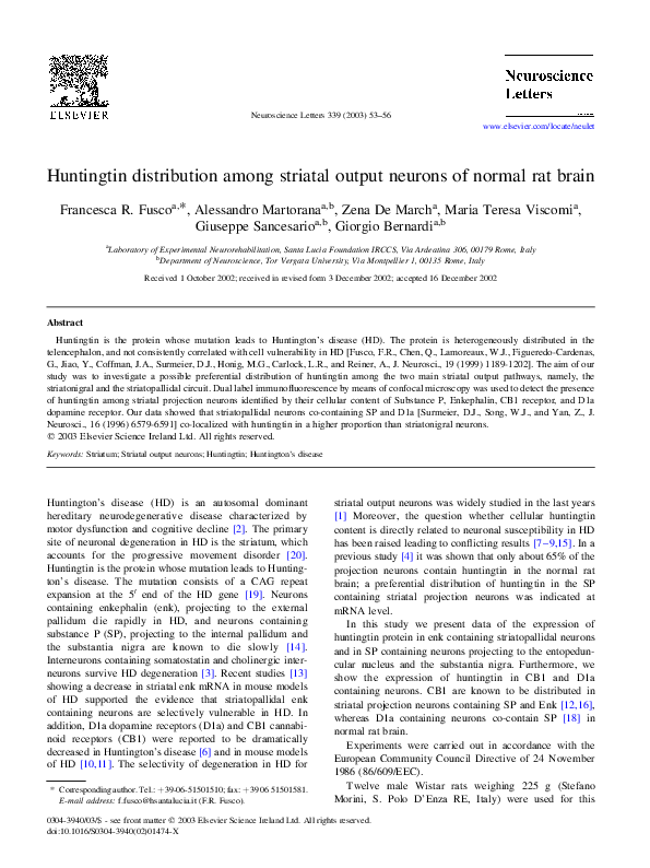 (PDF) Huntingtin distribution among striatal output neurons of normal ...