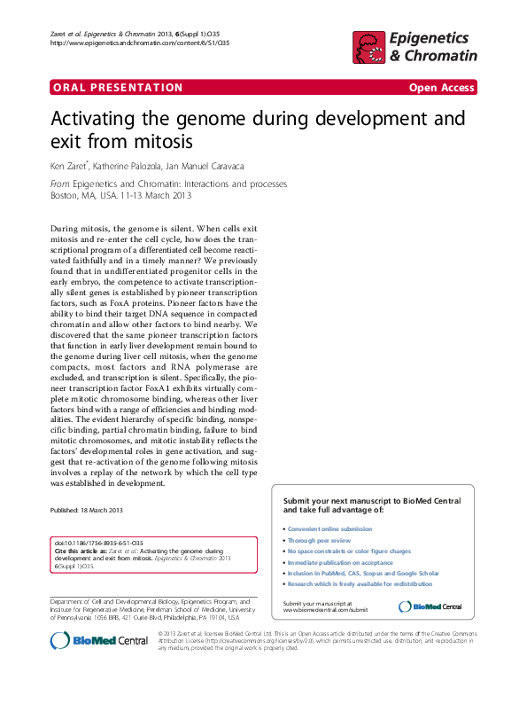 (PDF) Activating the genome during development and exit from mitosis