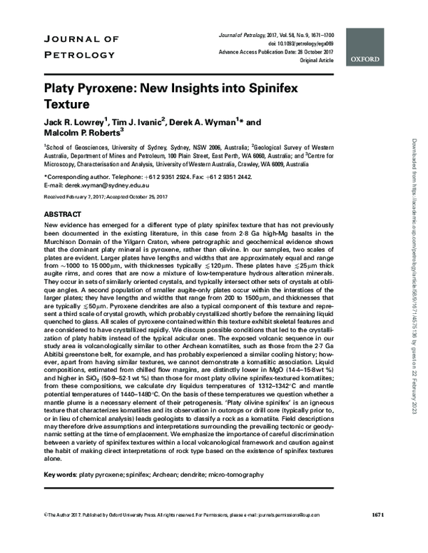 (PDF) Platy Pyroxene: New Insights into Spinifex Texture