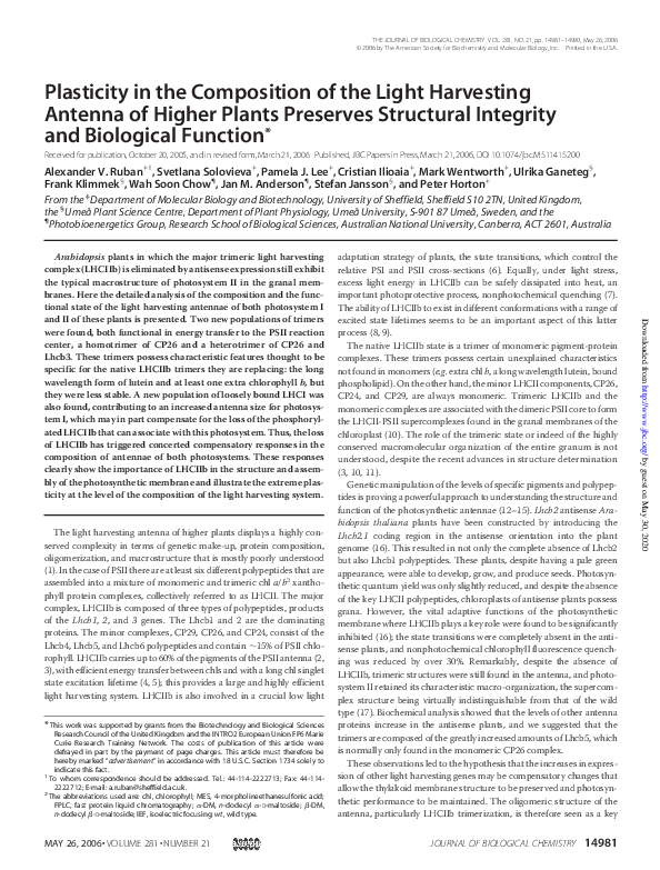 (PDF) Plasticity in the Composition of the Light Harvesting Antenna of ...