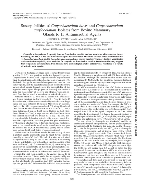 (PDF) Susceptibilities of Corynebacterium bovis and Corynebacterium ...