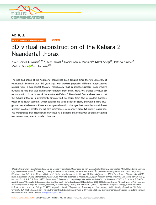 (PDF) 3D virtual reconstruction of the Kebara 2 Neandertal thorax