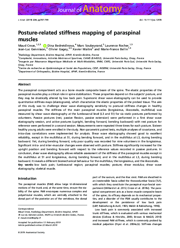 (PDF) Posture‐related stiffness mapping of paraspinal muscles | Olivier ...