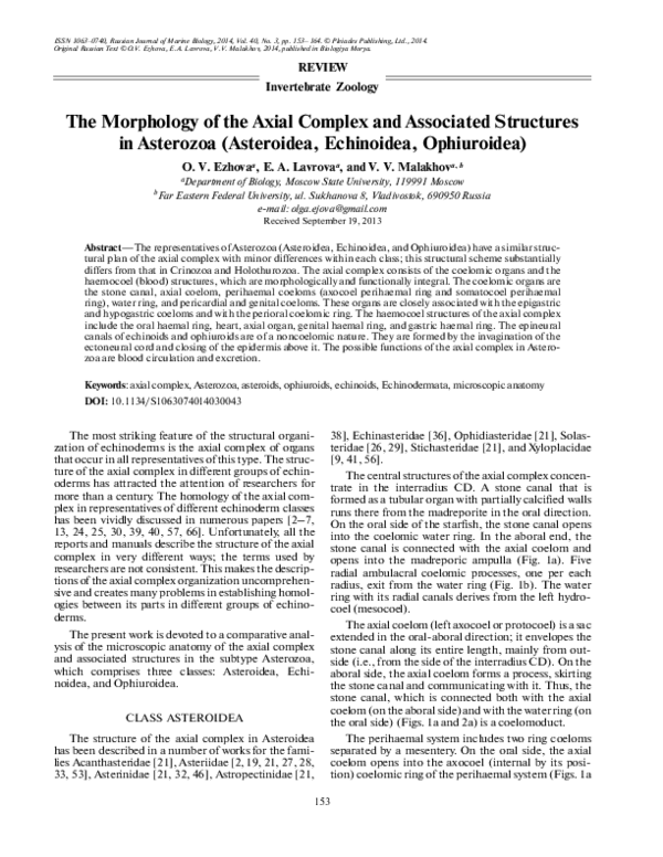(PDF) The morphology of the axial complex and associated structures in ...