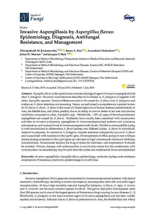 (PDF) Invasive Aspergillosis by Aspergillus flavus: Epidemiology, Diagnosis, Antifungal ...