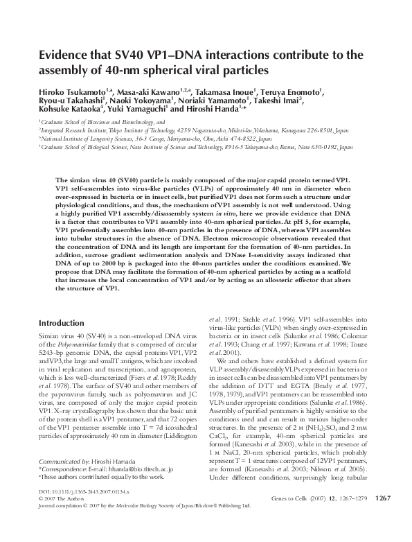 (PDF) Evidence that SV40 VP1–DNA interactions contribute to the ...