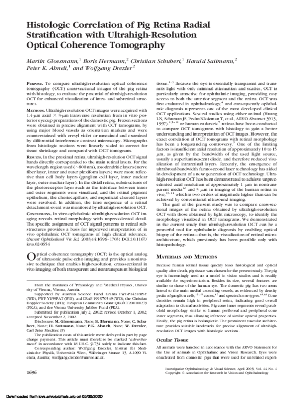 (PDF) Histologic Correlation of Pig Retina Radial Stratification with ...
