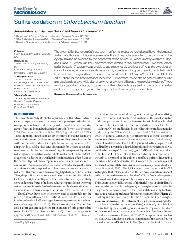 (PDF) Sulfite Oxidation in Chlorobaculum Tepidum | Jose Carlos Cardet ...