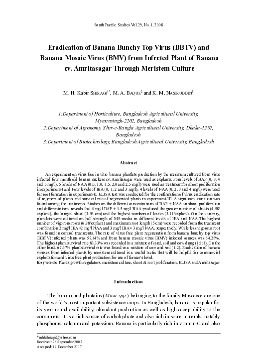 Eradication of Banana Bunchy Top Virus (BBTV) and Banana Mosaic Virus ...