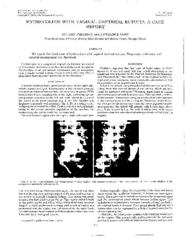 (PDF) Hydrocolpos With Vaginal Ureteral Ectopia: A Case Report