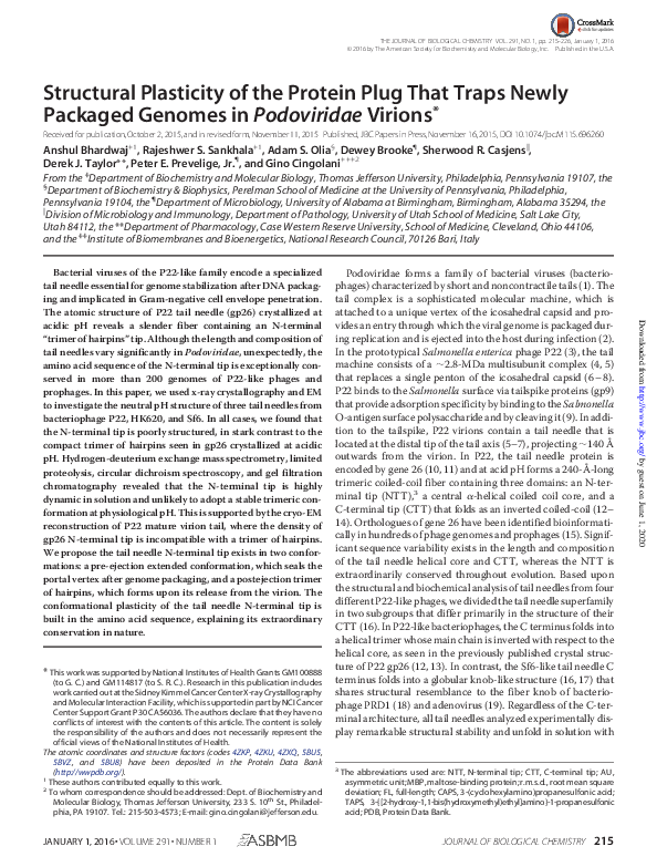 (PDF) Structural plasticity of the protein plug that traps newly ...