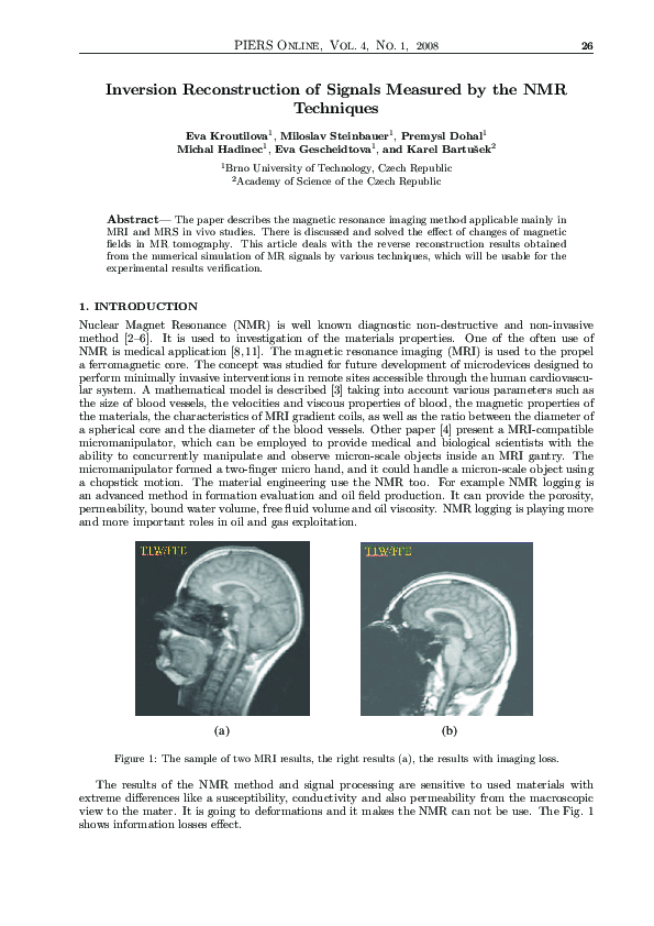 (PDF) Inversion Reconstruction of Signals Measured by the NMR Techniques
