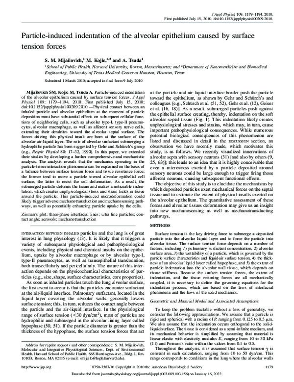 (PDF) Particle-induced indentation of the alveolar epithelium caused by ...
