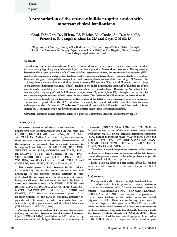 (PDF) A Rare Variation of the Extensor Indicis Proprius Tendon With ...